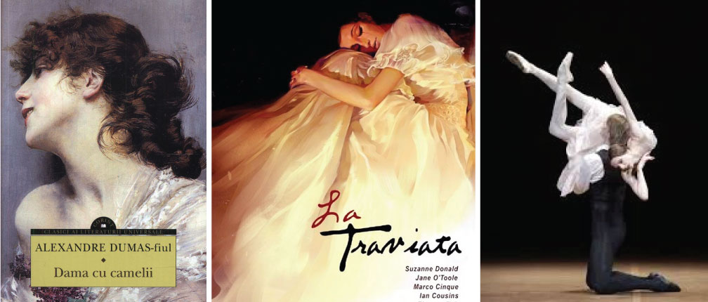 About The Camellia - 2